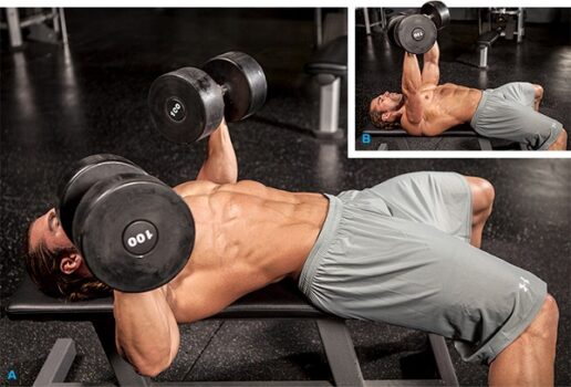 Press de pecho con mancuernas - Musculación Total