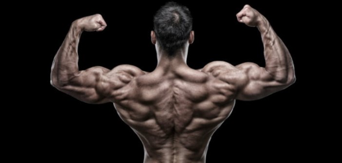Las variantes de las flexiones de brazos - Musculación Total