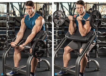 Curl de bíceps en banco scott - Musculación Total