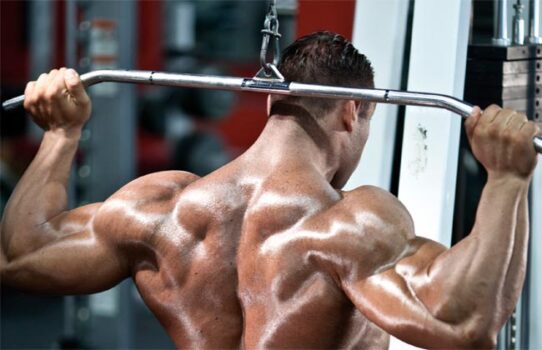 Pullover con polea alta - Musculación Total