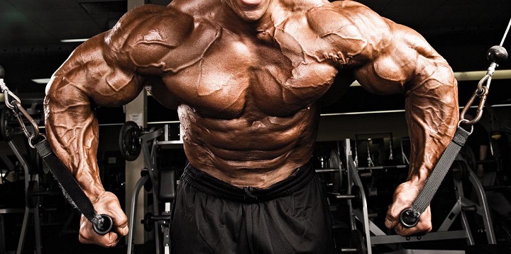 Ejercicios para el pecho - Musculación Total - Tu Blog de Entrenamiento