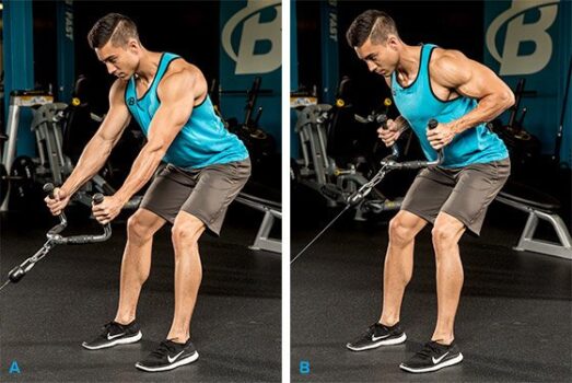 Remo con polea baja de pie - Musculación Total