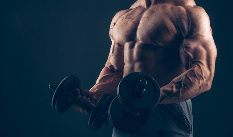 Rutina de musculación para 3 días - Musculación Total