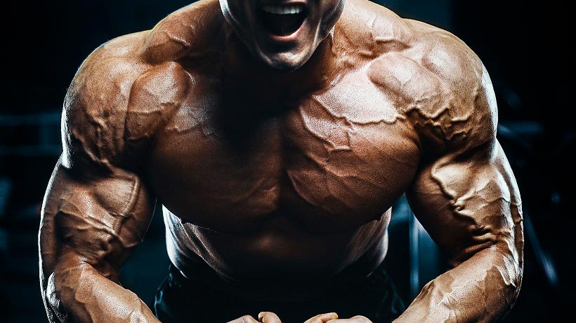 Rutina de musculación de 4 días - Musculación Total